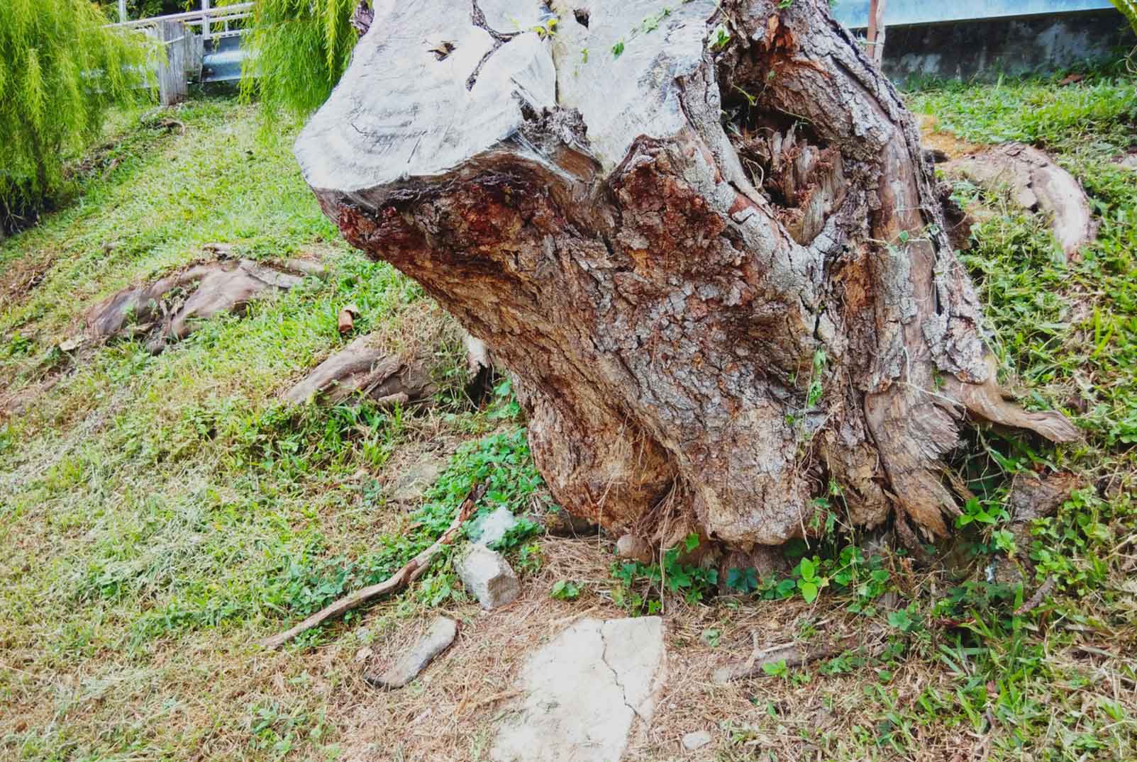 Your Story | Sekitar Kita